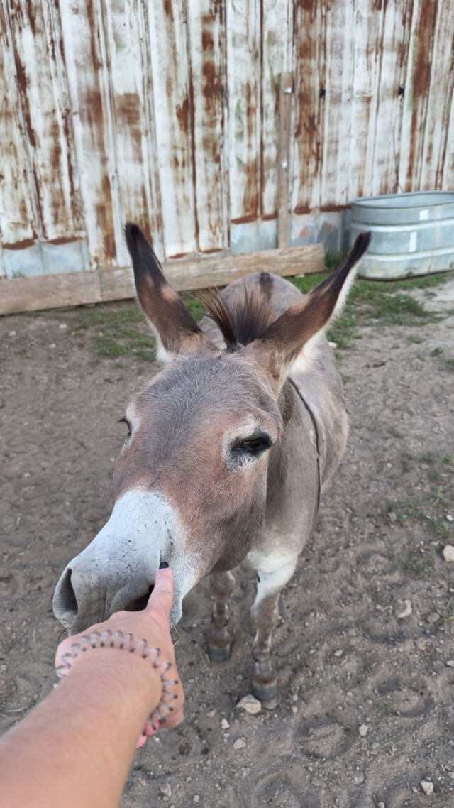 Sports Medicine Blog, Orthopedic, Sports Injury